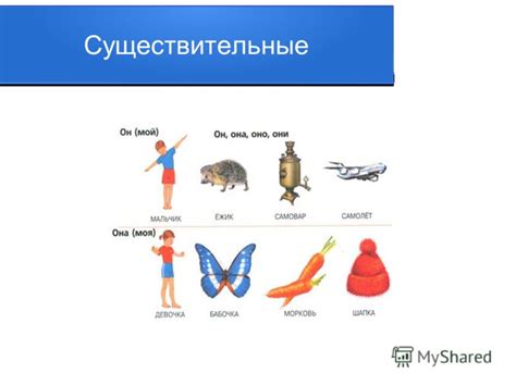 Презентация на тему Существительные Имя существительное