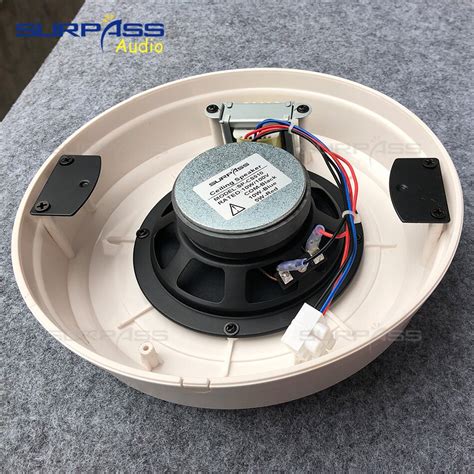 Constant Pressure Pa System Passvie Music Ceiling Vicedeal