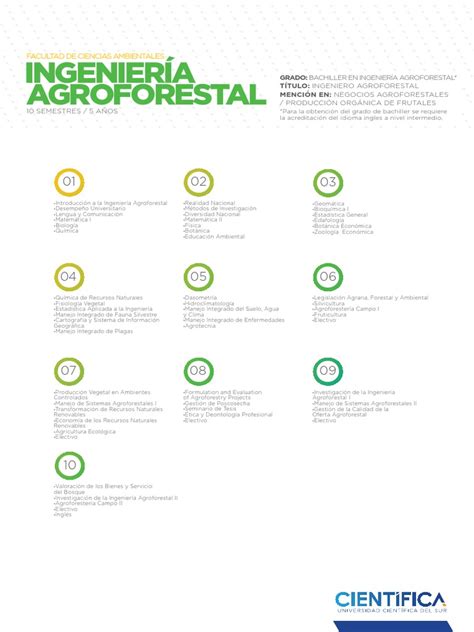 Malla Ingenieria Agroforestal Pdf Ingeniería Los Bosques