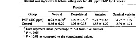 Brdurd Incorporation Into Epithelial Cells Of The Accessory Sex Organ