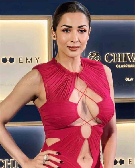 Malaika Arora Hot Cleavage Navel Exposed At Chivas Glassware Event