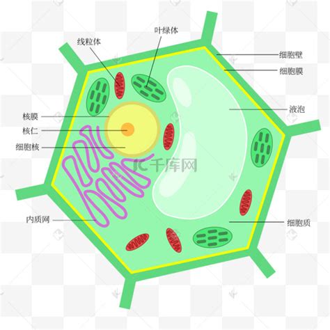Hdl图片 Hdl图片素材免费下载 千库网