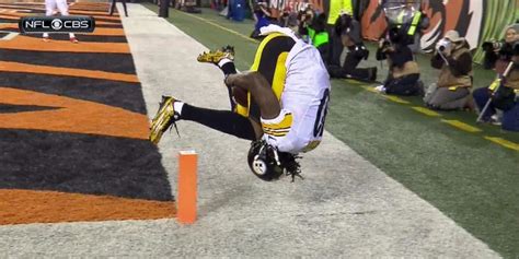 Steelers Wide Receiver Made One Of The Best Catches You Will Ever See
