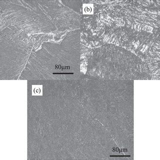 The diffusion zone around α phase of TC Ti alloy Download Scientific Diagram