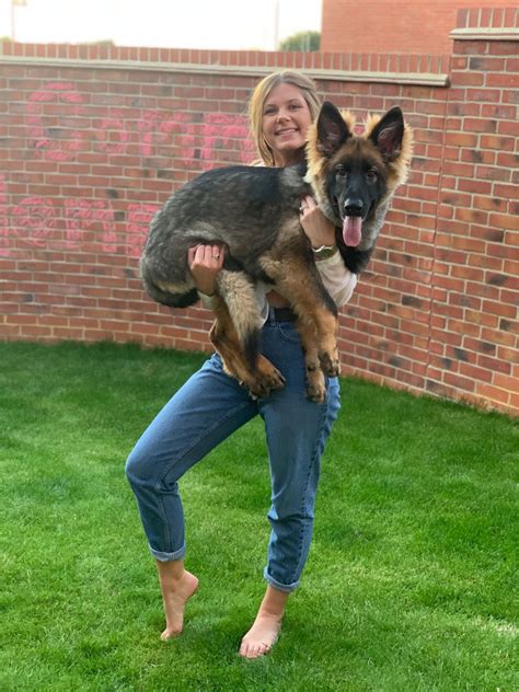 Sharing With My Network Good Luck Emma 👍🏻 John Goudie