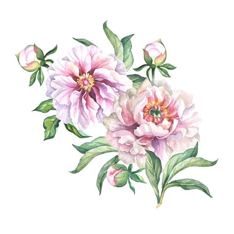 Pin By Btw Itx Mehh On All New Flower Art Images Watercolor