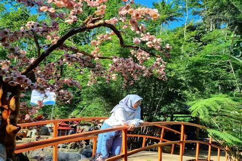 Spektakuler Siap Basah Basahan Di Wisata Alam Umbulan Tanaka Malang