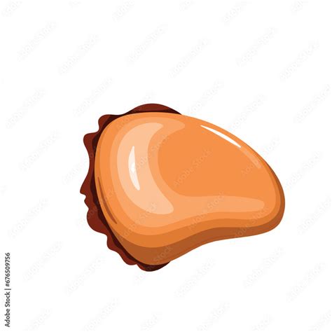 Mussel Vector Illustration Cartoon Isolated Top View Of One Bivalve