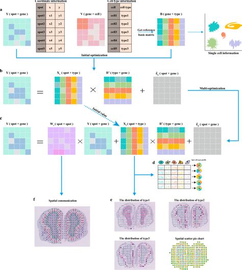 Deconvolution And Inference Of Spatial Communication Through Optimization Algorithm For Spatial