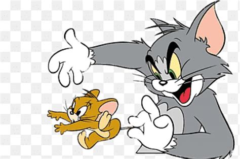 นักวิทยาศาสตร์มีคำตอบ ทำไม การ์ตูนทอมandเจอร์รี่ แมวแพ้หนูทุกที