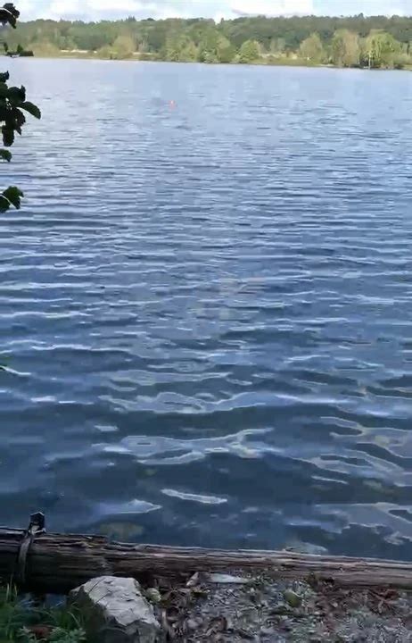 Schwulen Creator Sex Videos Von Holger Kostenlose Nacktpornos Xhamster