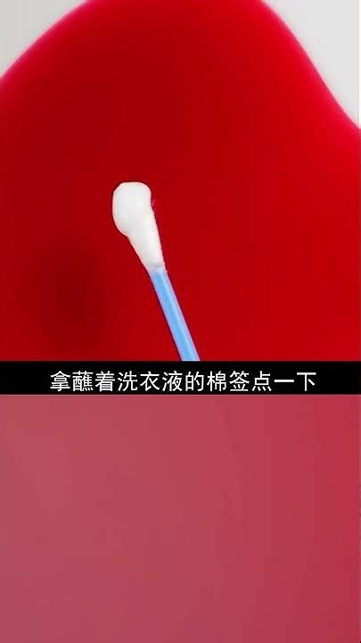 新奇百科 学会这些创意小实验，让孩子成为科学小达人！ 科学小实验 趣味科学小实验 亲子互动游戏 快手 Youtube