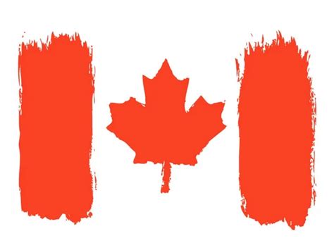 Canadian Flag Vector Art Stock Images Depositphotos
