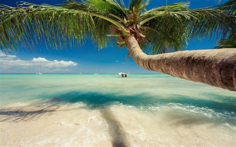 Wallpaper Landscape Sea Bay Nature Shore Sky Beach Tourism Coast Palm Trees Tropical