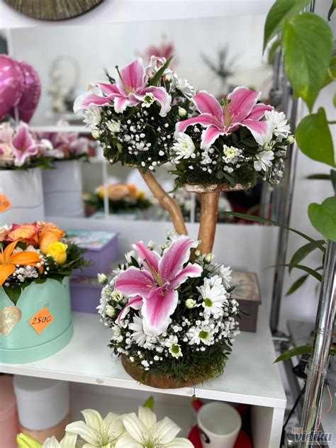 Sobno Cvece Ledine Cvećara Gorana Ledine Surčin Beograd