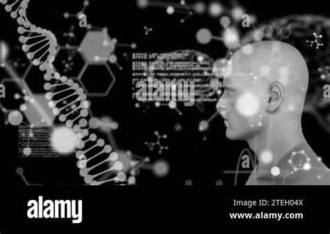 Animation Of Dna Strand Human Brain Molecules Scientific Data Processing And Human Body