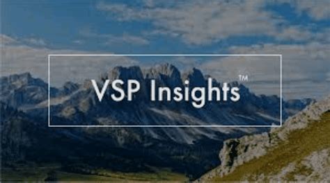 A Beginner S Guide To Vsp Providers Globalinfo247