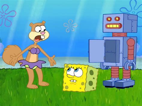 Squirrel Record Encyclopedia Spongebobia Fandom Powered By Wikia