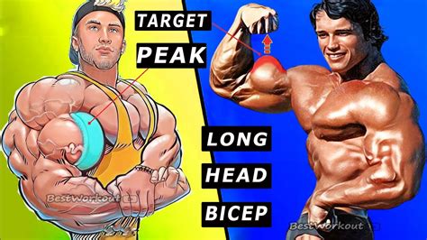 How To Target Long Head Bicep And 4 Effective Exercises Youtube