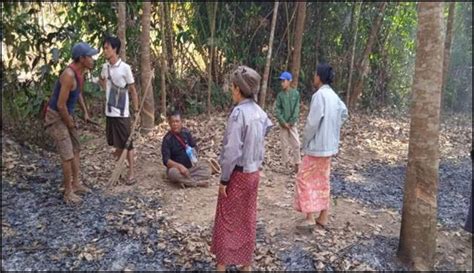 Pdf အမည်ခံအကြမ်းဖက်သမားများ၏ ဆင်ခြင်တုံတရားမဲ့စွာ မီးရှို့ဖျက်ဆီးမှုက