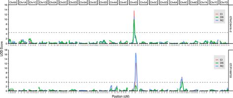Composite Interval Mapping Using Qtl As Cofactor In Two Oat