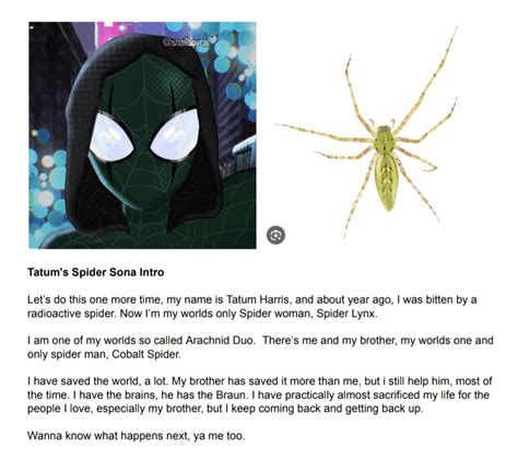 My Spidersona Spider Spore R Spidersonas