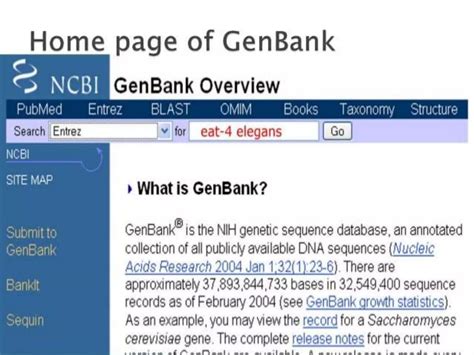 Primary Bioinformatics Databasepptx Primary Bioinformatics Databasepptx