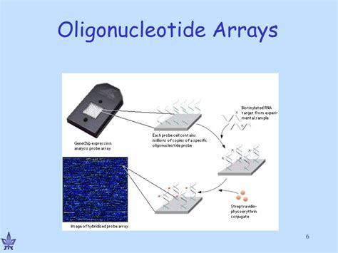 Ppt Gene Expression And Dna Chips Powerpoint Presentation Free