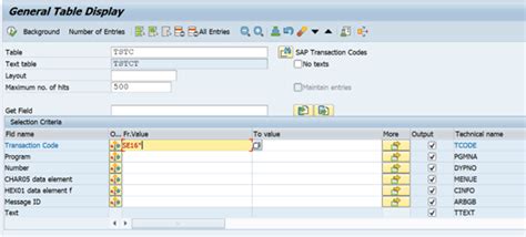 SAP Tips The SE16 Data Browser Transactions In SAP S 4HANA Eursap