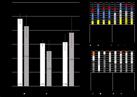 Microplastic Abundance Left Shape Bottom Right And Color Top