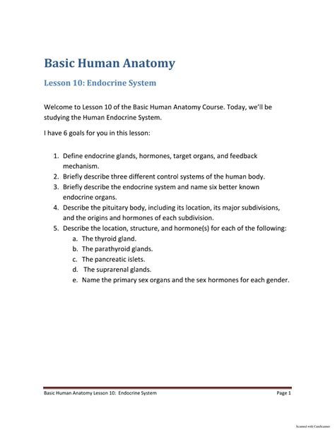 Solution Anatomy Lecture Endocrine System Notes Studypool