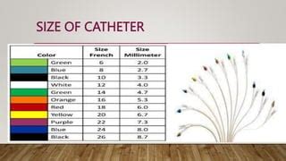 Catheterization Of The Urinary Bladder Procedure Types Size Of