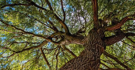 10 Key Best Practices For Git Branch Management By Dr Derek Austin 🥳 Git Happy Medium