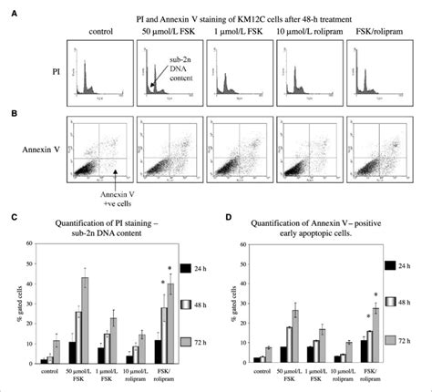 Forskolinrolipram Induces Apoptosis Of Km12c Cells Effects Of