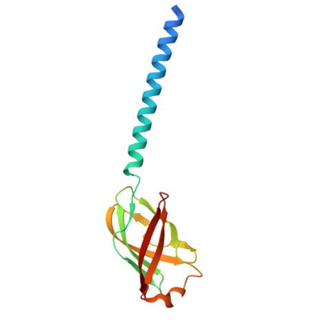Rcsb Pdb 8fjs Structure Of The Saccharolobus Solfataricus Archaeal