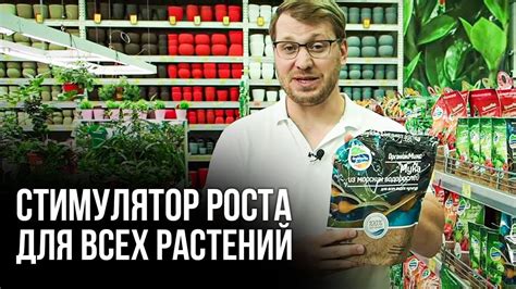 Органическое удобрение мука из морских водорослей Стимулятор роста растений Органик Микс