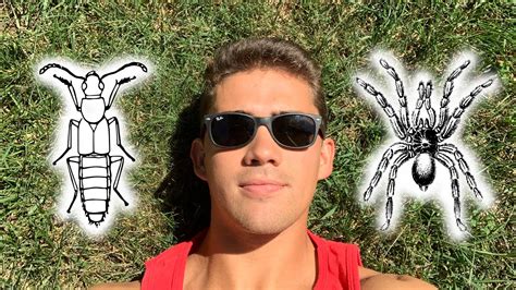 Top 5 Springtail Control Products You Need To Buy Right Now