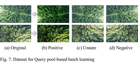 Data Set Augmentation A Original Image B Augmented Images Download Scientific Diagram