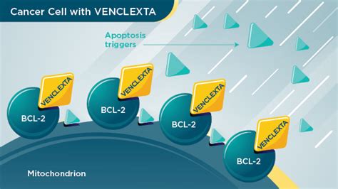 Venclexta Dosage Rx Info Uses Side Effects