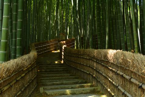 By Ginkosan Id Photohito