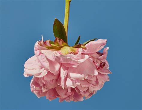 Mobile RPG UI Behance