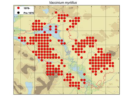 Bsbi Vaccinium Myrtillus