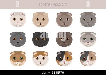 Scottish Fold Cat Clipart All Coat Colors Set All Cat Breeds