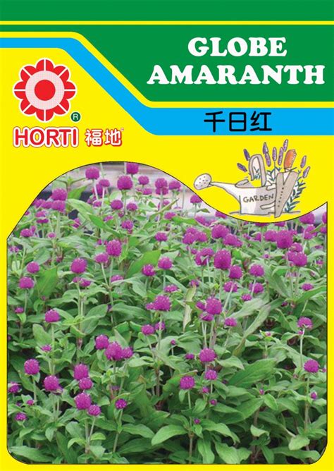 Globe Amaranth Horti Flora Singapore Seeds Supplier
