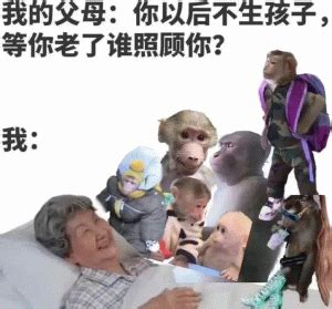 猴子表情包表情包图片gif动图 求表情网 斗图从此不求人