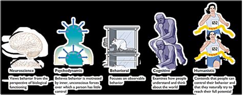 Psychology Definition Types Perspectives Studiousguy