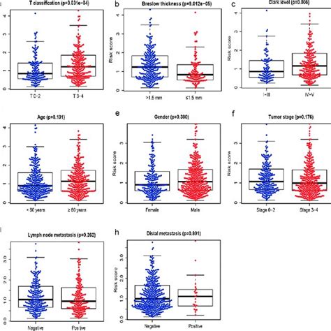 A Metabolism Related Gene Signature In Melanoma A T Classification Download Scientific
