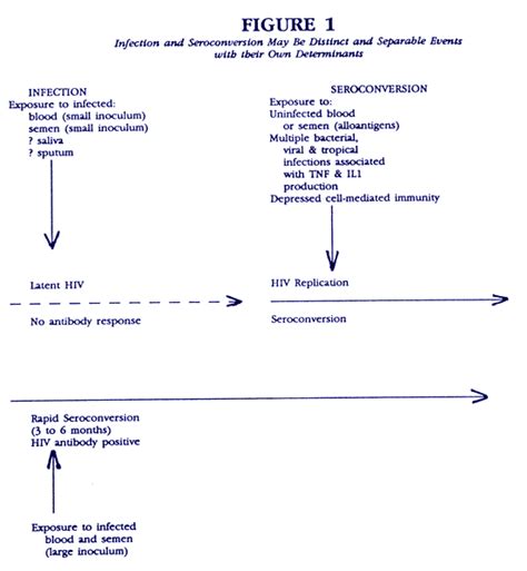 Hiv And Aids Fact And Speculation About The Cause Of Aids