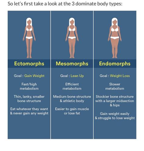 Pinterest Body Type Workout Endomorph Body Type Body Type Diet