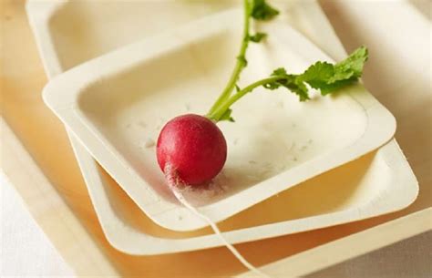 Best Disposable Good Quality Plates For Party